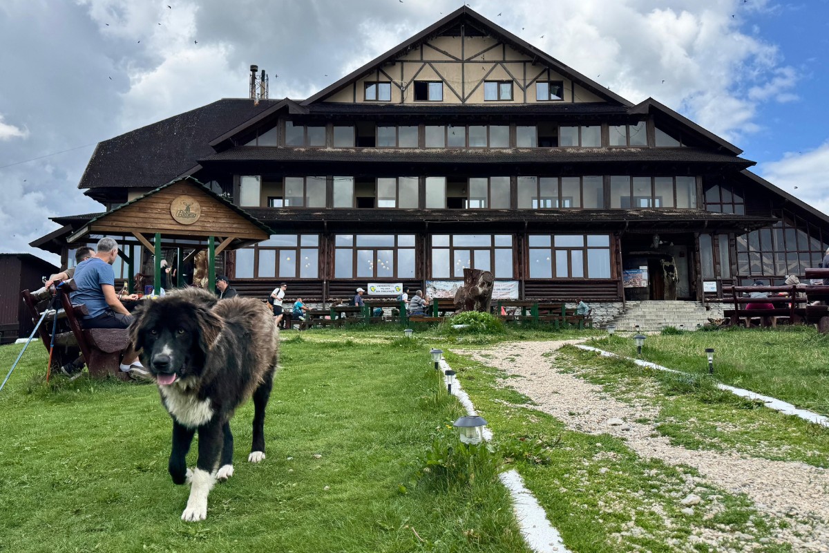 Escapadă la Cabana Vârful Ciucaș, locul unde am scăpat de caniculă și ...